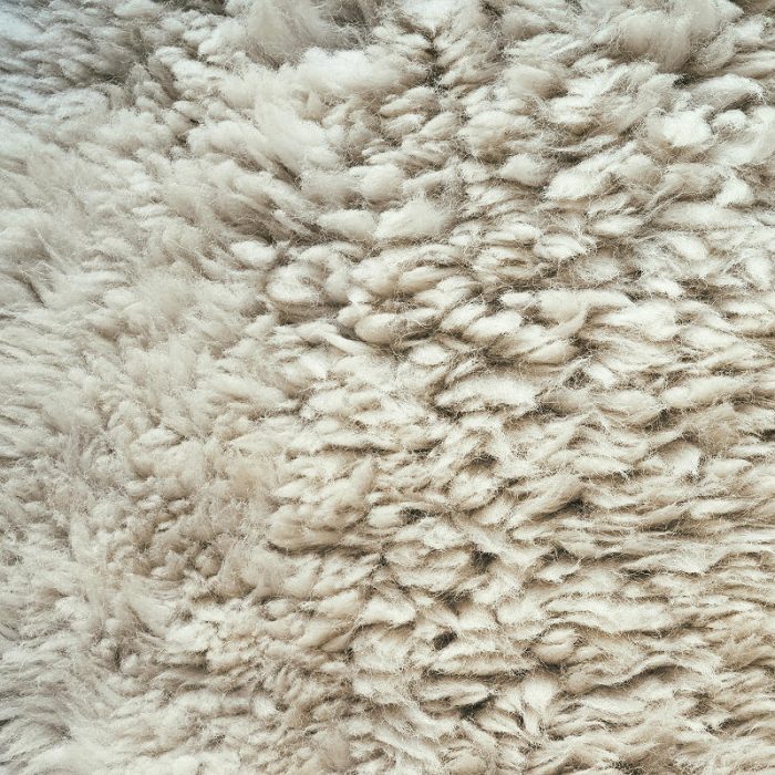 Home - WoOL Amsterdam